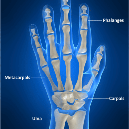 Elbow and Wrist Education – Breg, Inc.