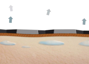 Fast Form – Breg, Inc.